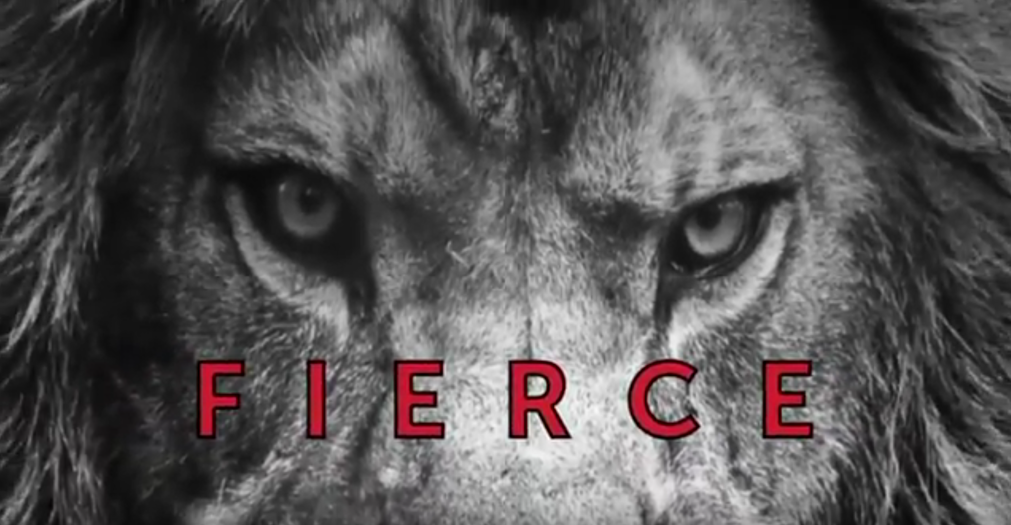 Fierce – Part 2 – Courageous Obedience – nimble.church